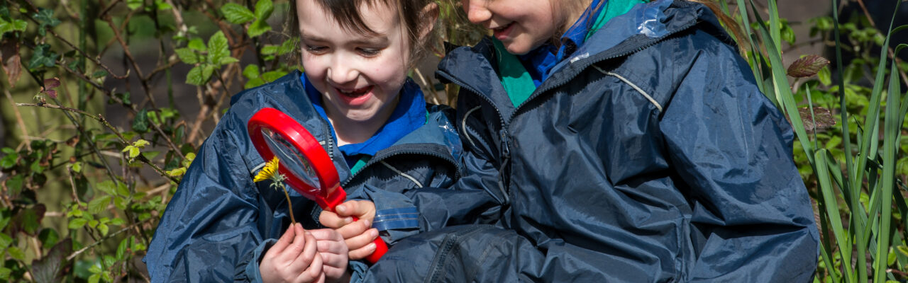 Welcome to The Crofty Education Trust - Crofty Education Trust