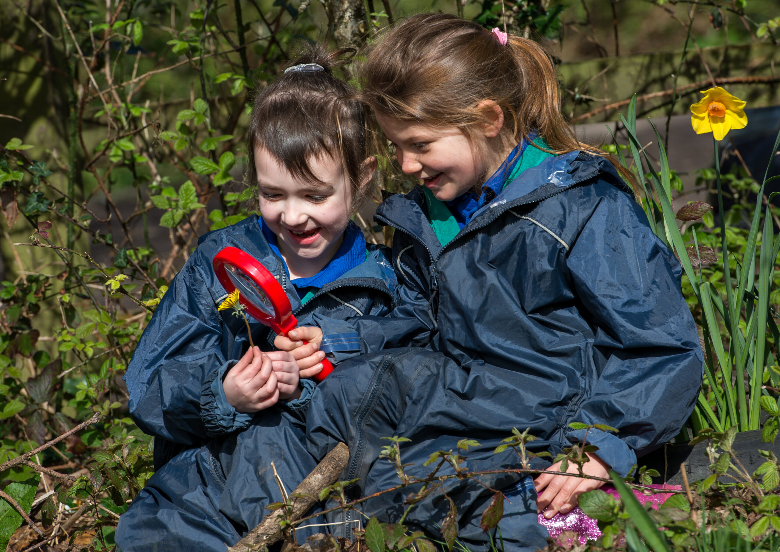Welcome to The Crofty Education Trust - Crofty Education Trust