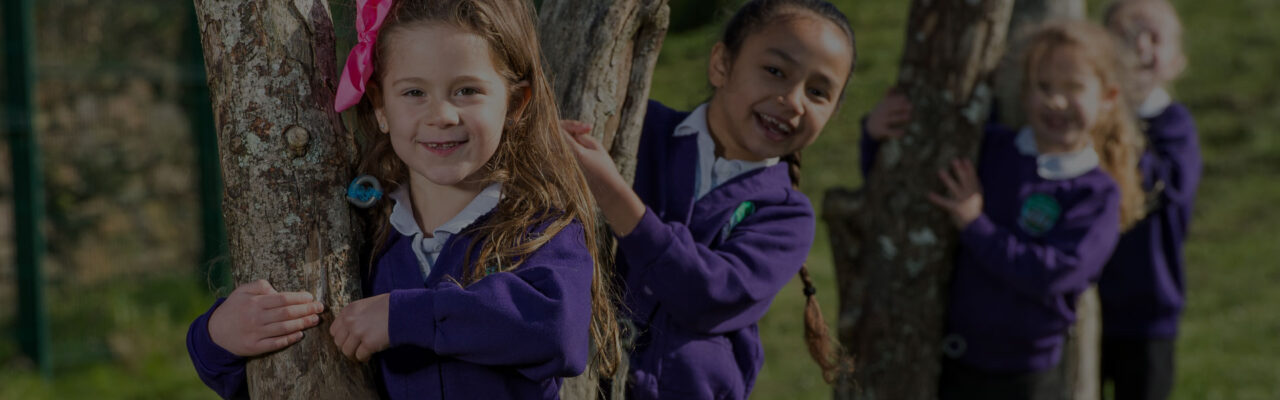 Welcome to The Crofty Education Trust - Crofty Education Trust