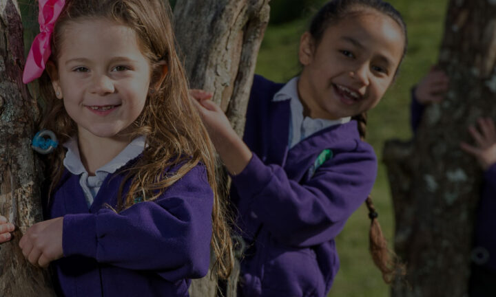 Welcome to The Crofty Education Trust - Crofty Education Trust