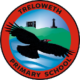 Treloweth School - Crofty Education Trust